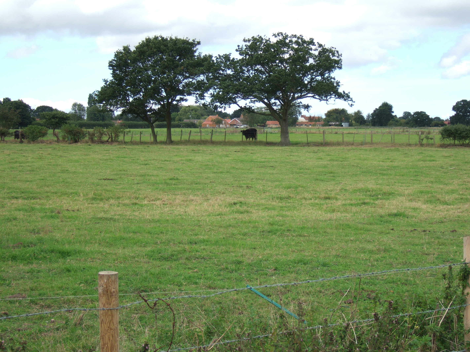 Photo 12x8 Paddock on Watery Lane Pott Row Norfolk c2010 | eBay
