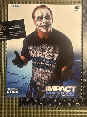 Sting Original 2011 TNA Wrestling Promo Photo Impact WCW | eBay