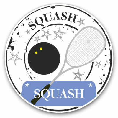 2 x Vinyl Stickers 25cm - Awesome Squash Player Cool Gift #4174 | eBay UK