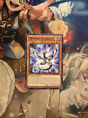 Firewall Guardian - DANE-EN001 Common 1st ed NM Yugioh Card | eBay