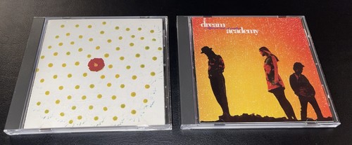 2 DREAM ACADEMY CD LOT Remembrance Days/Different Kind Of Weather ...