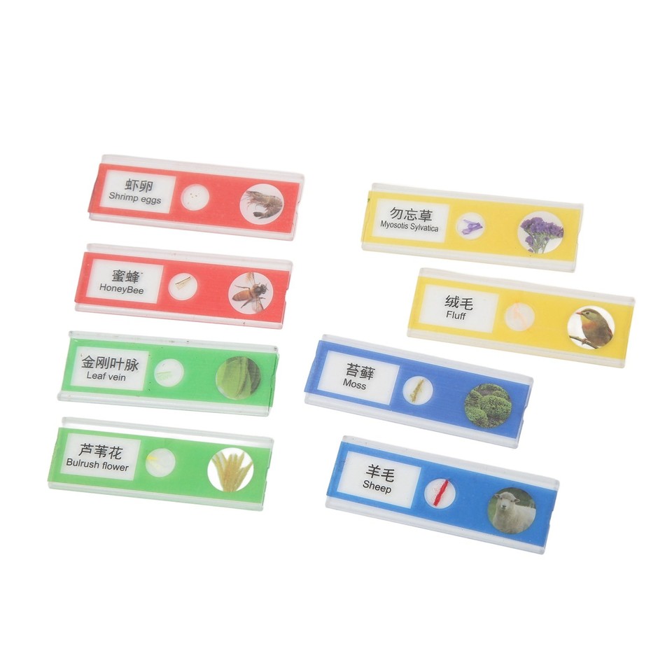 HOT 8Pcs Kids Microscope Specimen Slides Insects Plants Educational ...