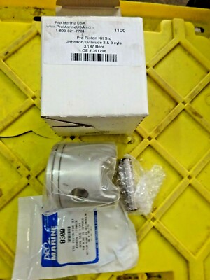 PRO MARINE 1100 NEW JOHNSON EVINRUDE OMC OUTBOARD LOOPER PISTONS 2 CYL ...