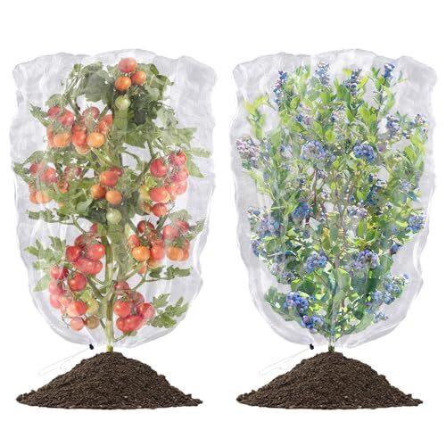 2 Pack Garden Plant Fruits Tomato Blueberry Bushes Protection 3.9 x 4.6 ...
