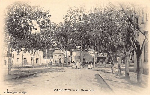 Algérie - PALESTRO - La Grand'Rue - Ed. J. Geiser 4 | eBay