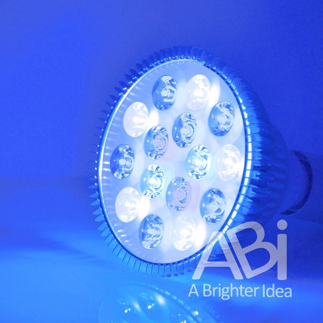 ABI 12w Blue and White LED Grow Light Bulb for Reef and Freshwater ...