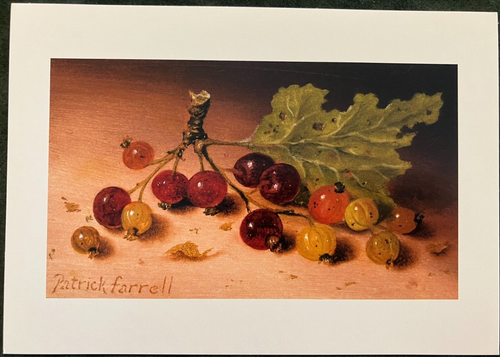 Postcard: Currants by brilliant self-taught WI artist Patrick Farrell ...