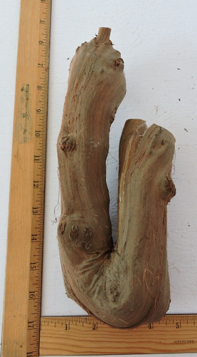 9" Grapevine Wood Stick Log Driftwood Natural Decor Crafts U Crooked 1 ...