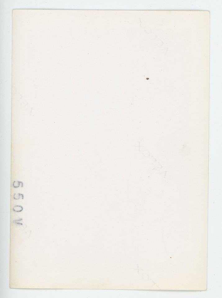 Vintage Photo Cute Sorority Girl Tissue Paper Toga Delta Omega Wichita ...