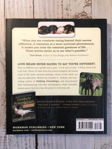 Unlikely Friendships Jennifer Holland