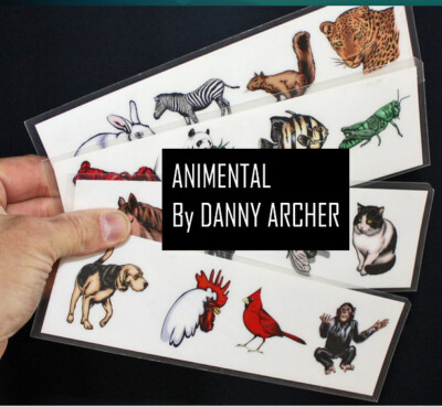 ANIMENTAL BY DANNY ARCHER - 1999 - LAMINATED FULL COLOR CARDS APPROX. 2 ...