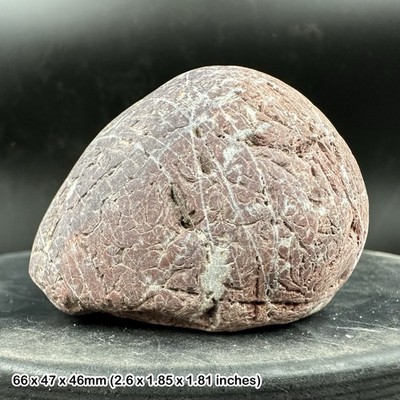 Scottish red jasper: scottish red jasper crystal - high-quality tumbled ...