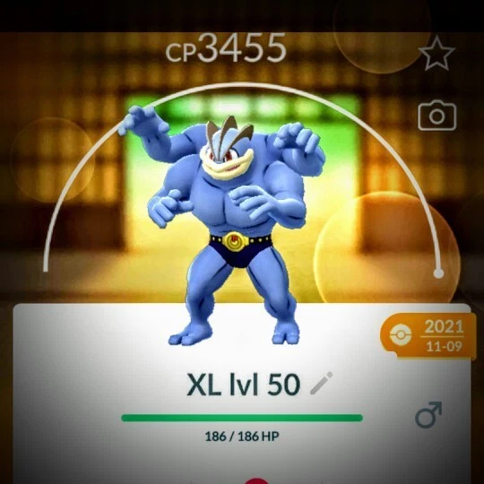 Pokemon Machamp Evolution