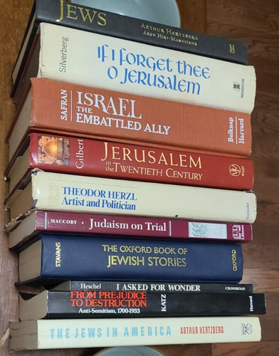 Lot 10 Different Jewish Judaica Books Jerusalem American Jewry Israel ...