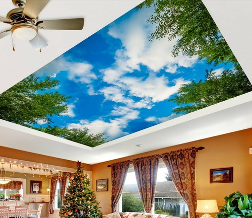 3D Sky Clouds A5689 Ceiling WallPaper Murals Wall Print Decal Deco AJ WALL Fay | eBay Australia