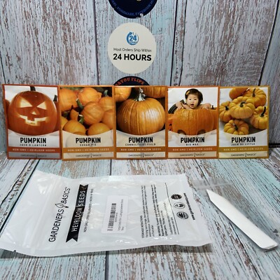 5 Pks.Pumpkin Seeds.| Heirloom, Non-GMO, Sugar Pie,Big Max,Jack Be ...