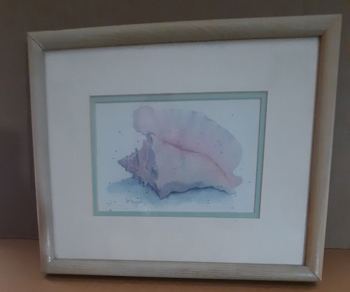 Art Print Matted Framed Sea Shell D. Morgan Signed | eBay