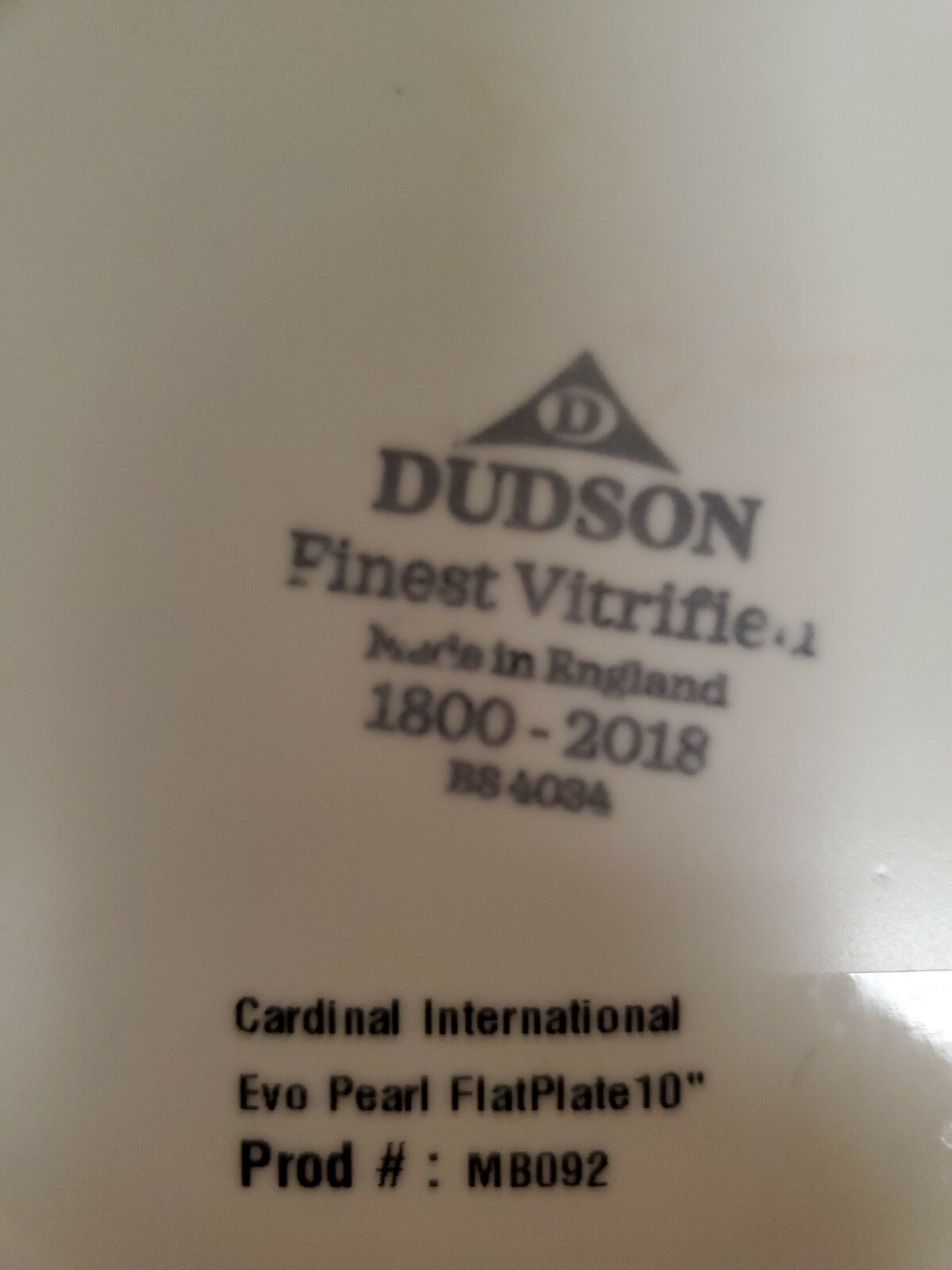 Dudson Finest Vitrified Evolution Pearl 10" Dinner Plate - made in ...