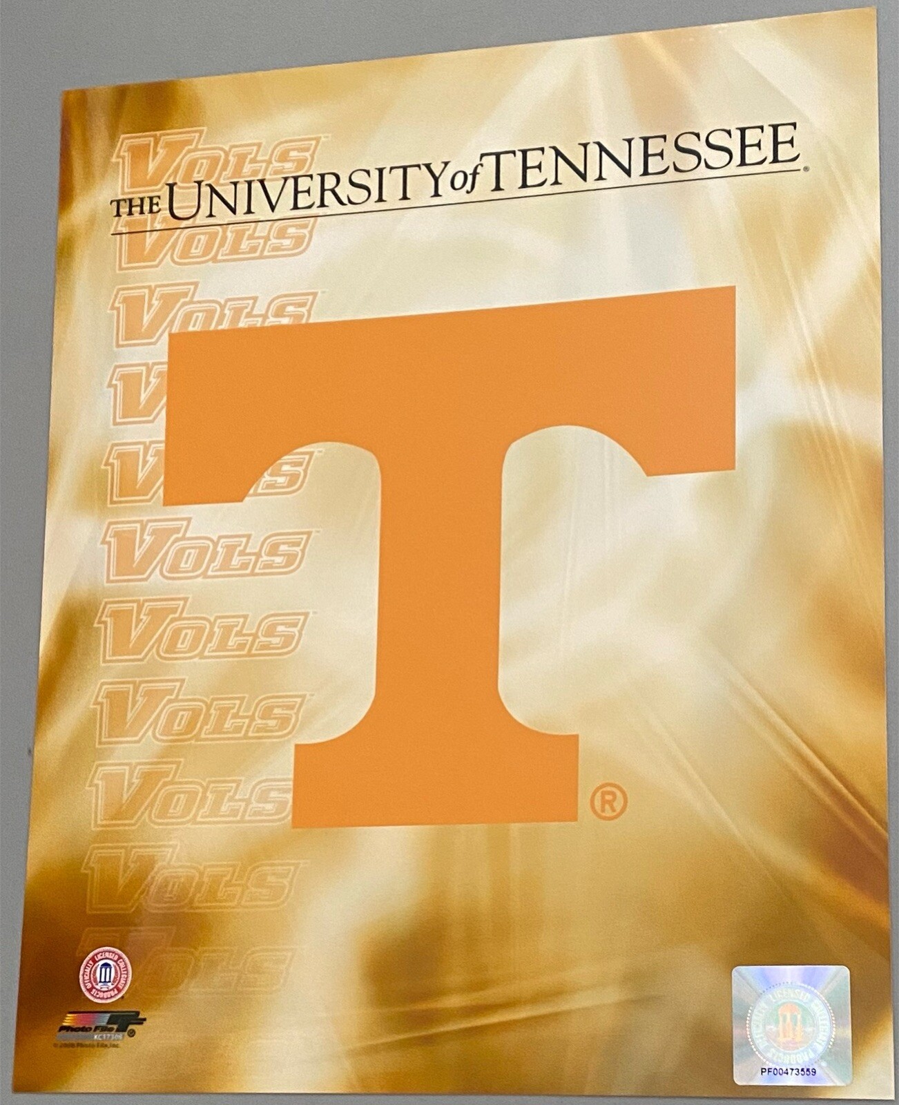 TENNESSEE VOLUNTEERS VOLS LOGO 8X10 PHOTO FILE MAN CAVE NCAA OFFICIALLY ...