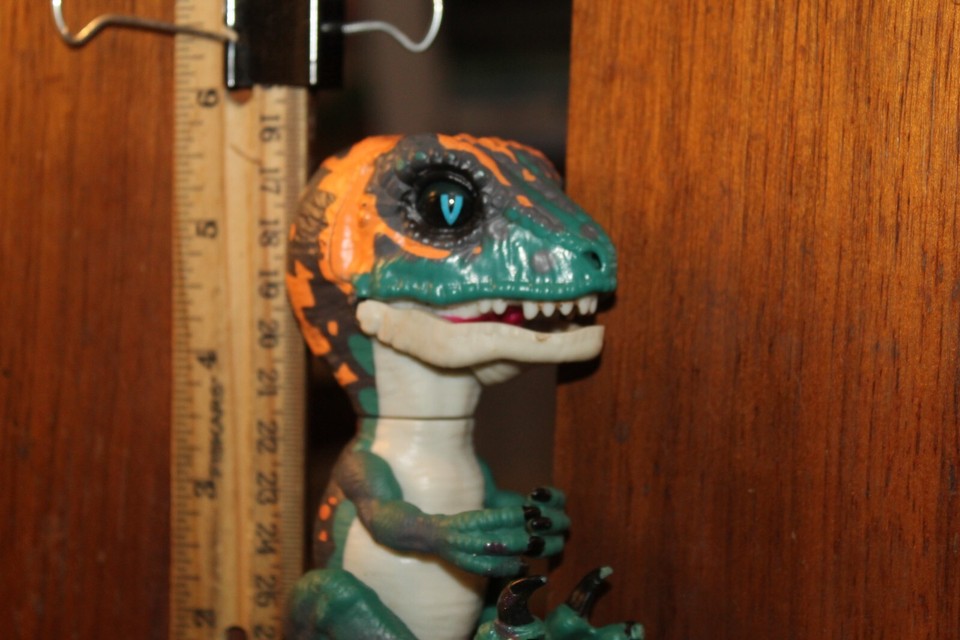 Wow Wee SCRATCH Untamed Fingerlings Raptor Dinosaur T-Rex | eBay