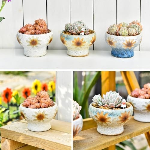 Sungmor 4.9 Inch Large Succulent Plant Pots, Pretty Hand Painted ...
