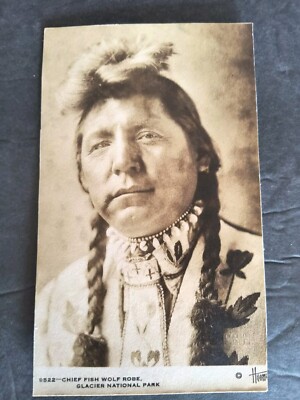 1900 Native American Blackfoot Chief Fish Wolf Robe Postcard Unused 100 ...