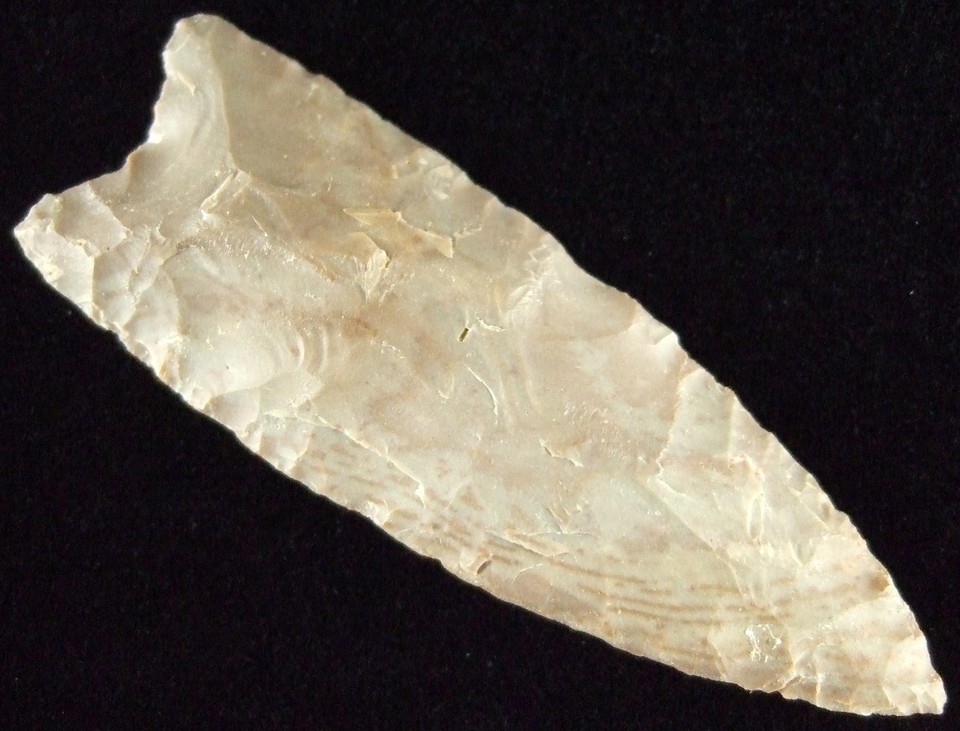 Exceptionally Fine Tennessee Buffalo River Flint Clovis Point COA ...