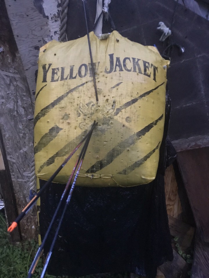 Bow-Lance: A Longbow That Is Also A Spear #50 @ 28” | eBay