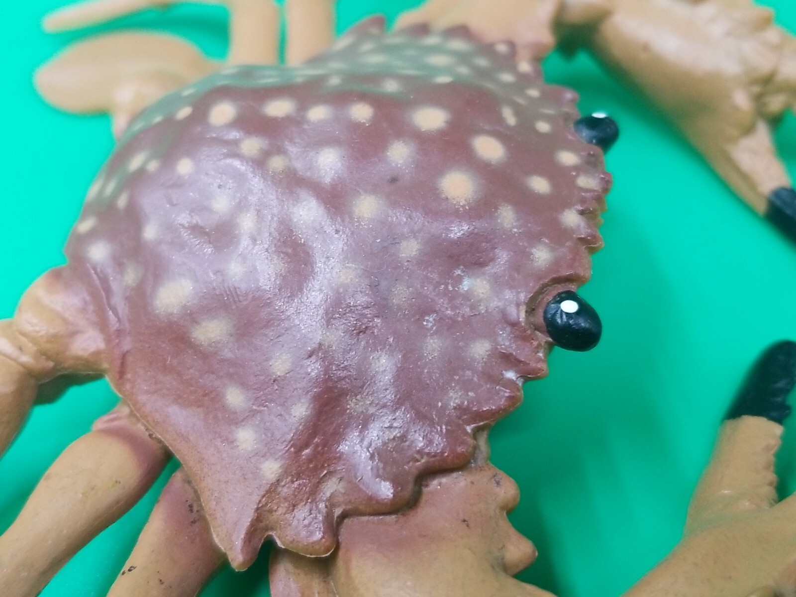 Crab Toy Figure PVC Soft Shell Realistic Tan Tropical Sea Life Ocean ...