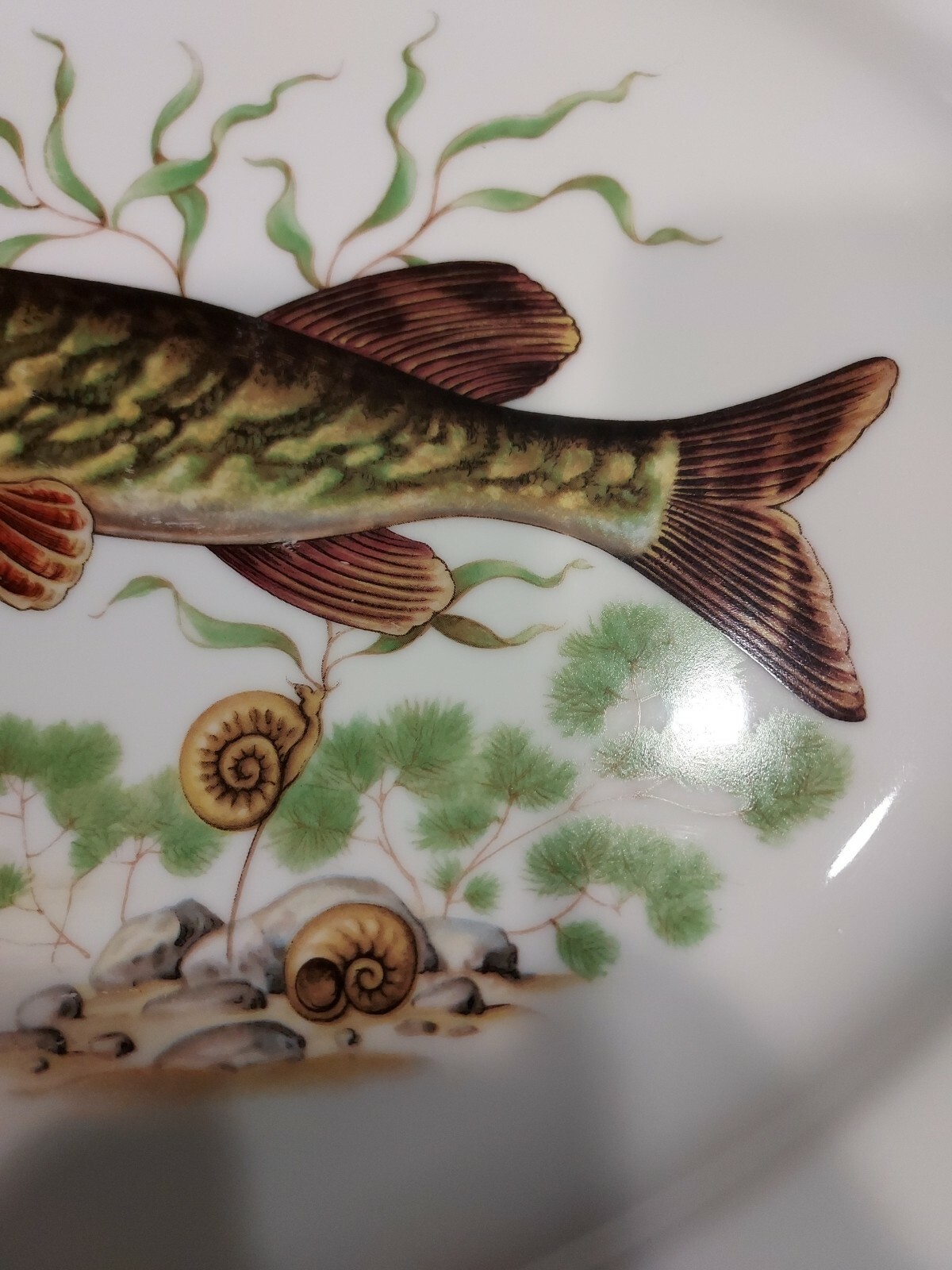 VTG JKW Western Germany LG Fish Console Plate & Serving Platter J.K.W ...