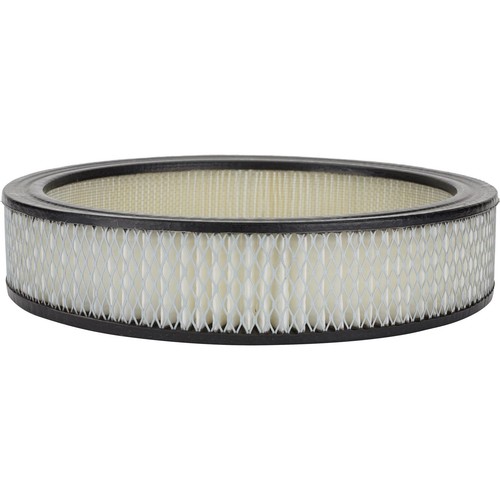 Replacement Paper Air Filter Element, 10 x 2-1/8" | eBay