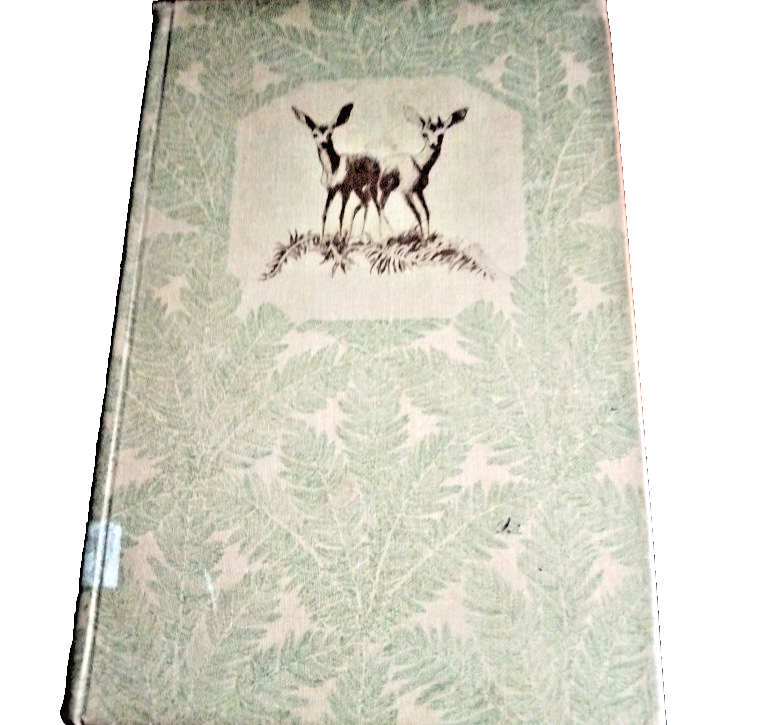Dash & Dart By Mary & Conrad Buff Hardcover 1943 2nd Print-Deer Story ...