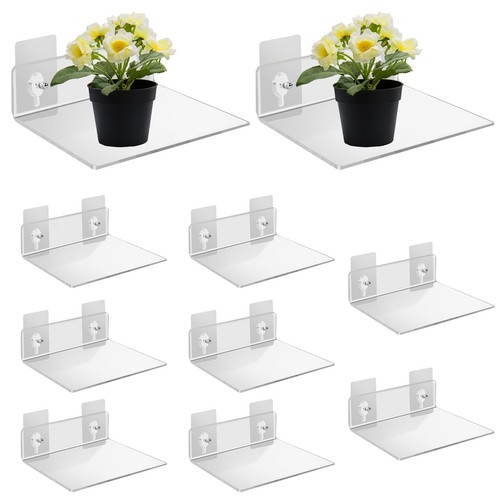 Space Saving Acrylic No Punch Shelf Organize and Showcase Your ...