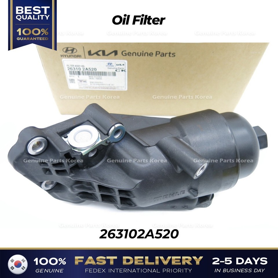 ⭐Genuine⭐ Oil Filter 263102A520 for Hyundai Accent Kia Carens | eBay
