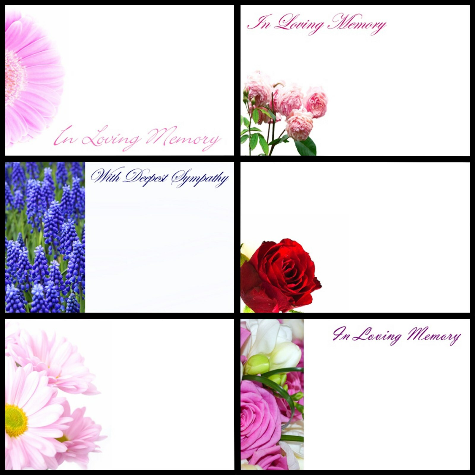 Large Florist Message Cards Packs of 12 save up to 15% with multi-buy ...