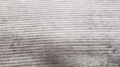 Pindler - Ferris/6653 - Color Chinchilla - 1.25 Yards | eBay