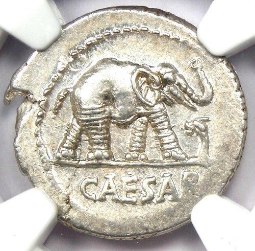 Julius Caesar AR Denarius Silver Elephant Coin 49 BC - Certified NGC ...