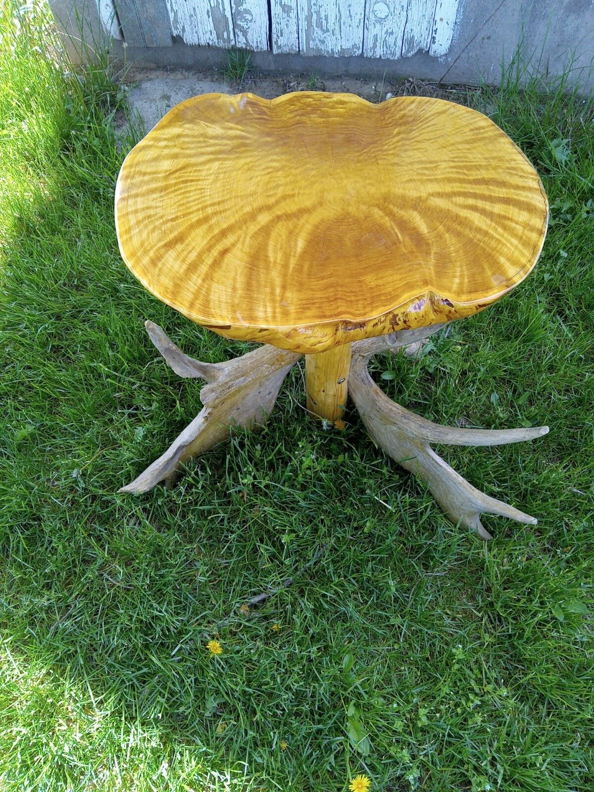 Moose Antler table, hand crafted, solid wood slab top | eBay