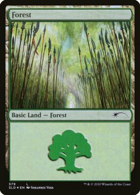 Forest (579) - Foil x1 - Secret Lair Drop Series - NM-Mint, English ...