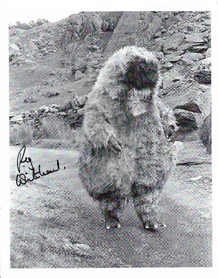 Reg Whitehead- YETI from DOCTOR WHO Genuine Signed Autograph 10" x 8 ...