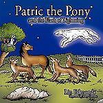 Patric the Pony and the Flash of Lightning by Lin Edmonds (2009, Trade ...