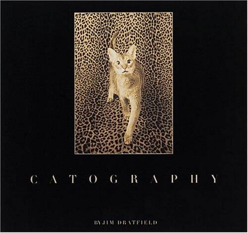Catography - Paperback By Dratfield, Jim - GOOD | eBay