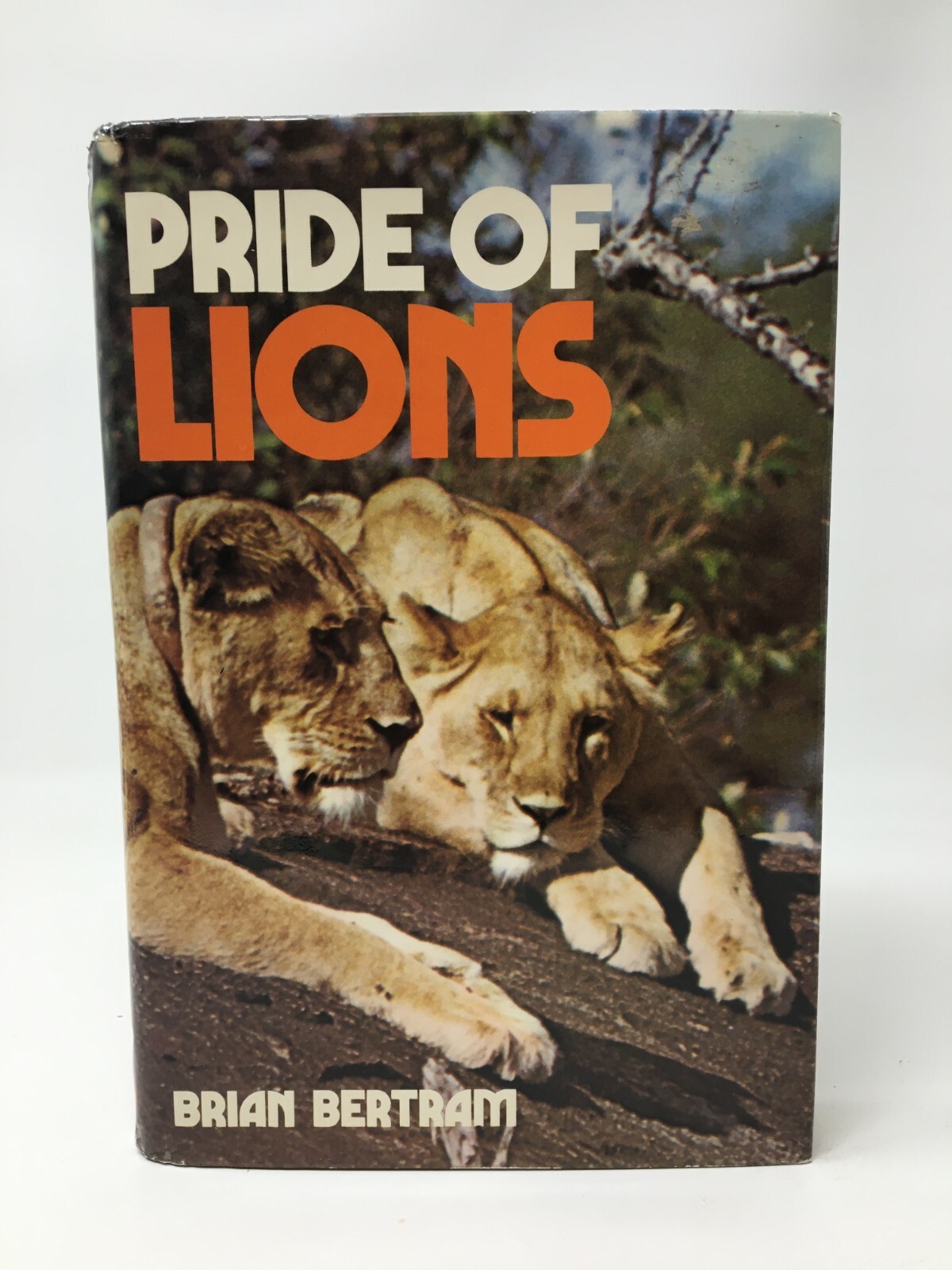 BRIAN BERTRAM Pride of Lions 1st/1st HB/DJ 1978 Scribner's ...