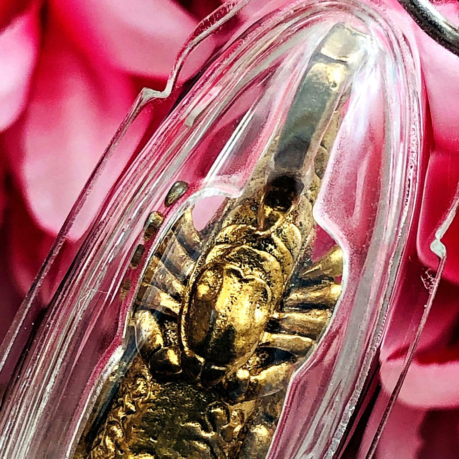 Charming Love Attract Scorpion Paladkik Penis Kb Dhama Copper Thai ...