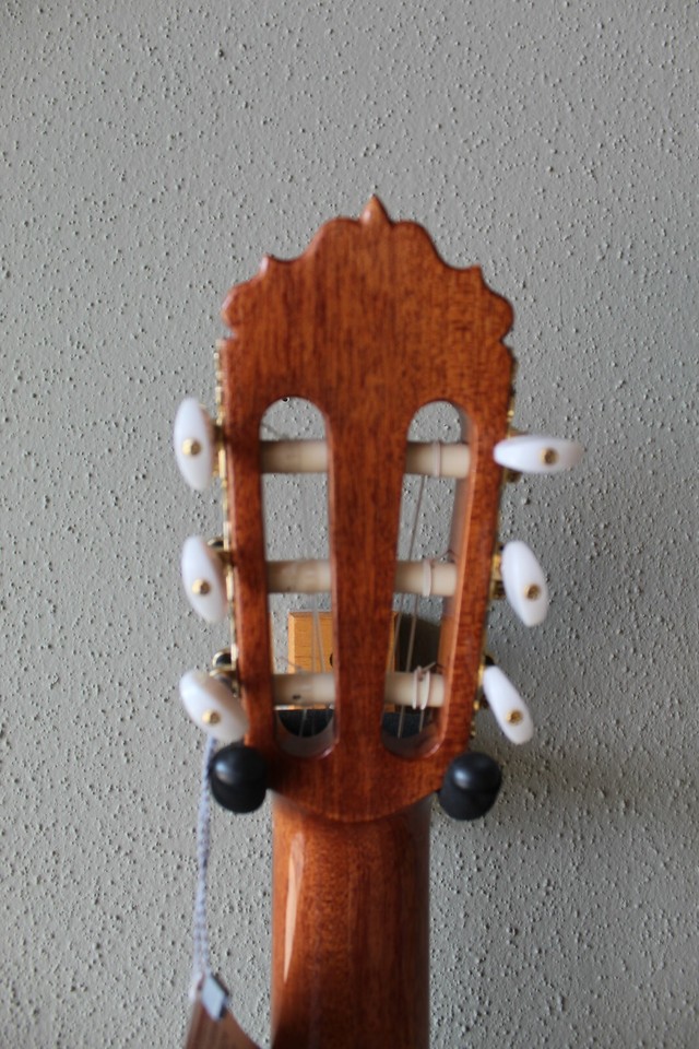 Brand New Alhambra 5P Conservatory Nylon String Classical Guitar | eBay