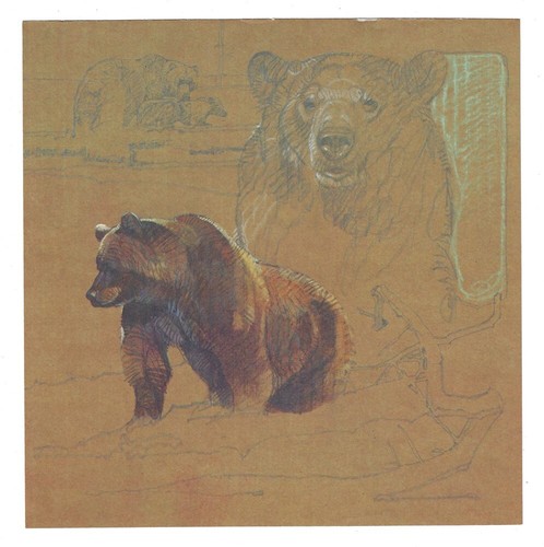 1976 GRIZZLY BEAR Wildlife Art Print - Dennis Anderson - Hallmark ...