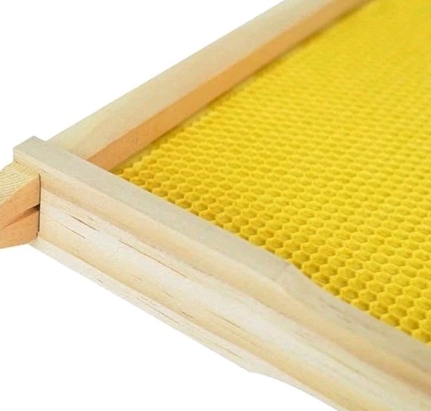 Deep Brood Bee Hive Frames and Wax Foundations,10 Pack Honey Bee Frames ...