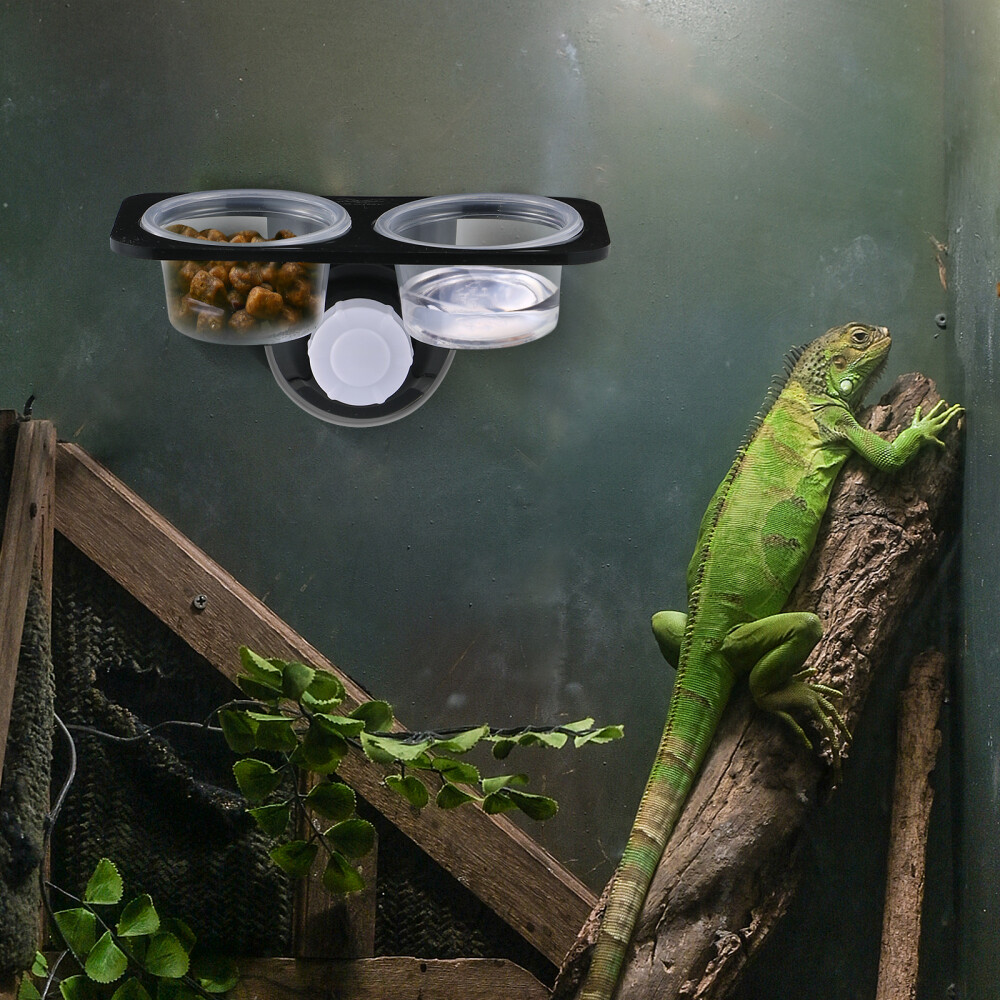 Gecko Food Water Bowl Reptile Feeder Crested Gecko Food Dish | eBay