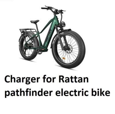 🔥Battery Charger for Rattan pathfinder /pathfinder ST ebike Electric ...