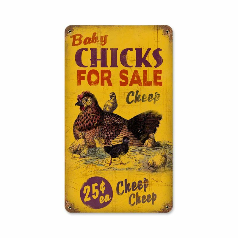 Heavy Metal Baby Chicken
